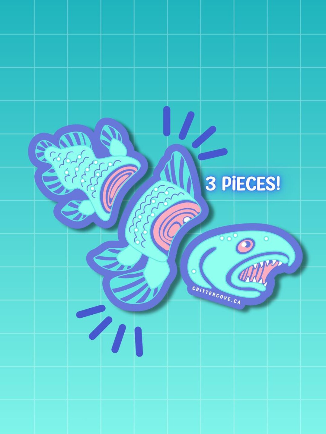 Coelacanth / Handmade Vinyl Sticker / 3 Piece Fish Decal - Etsy