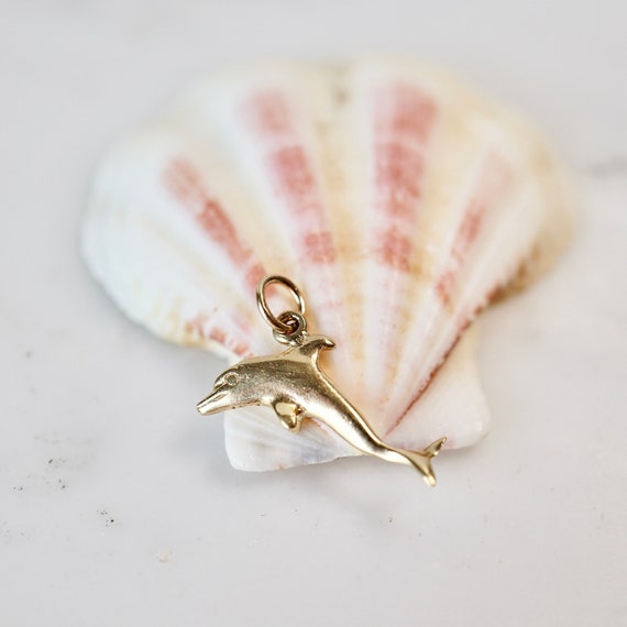 beautiful dolphin marine - Gem