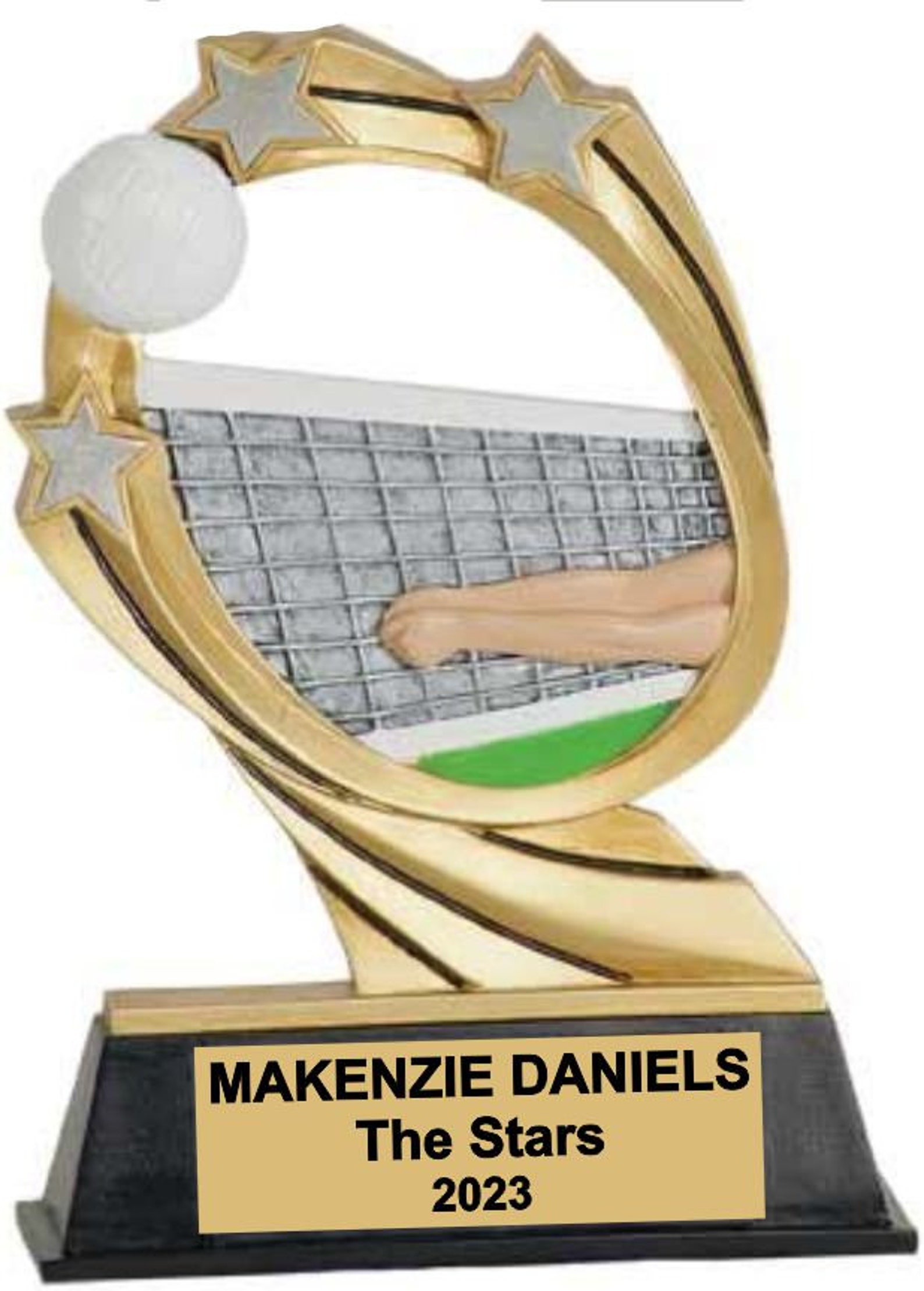 Volleyball Trophy Resin Award With Engraved Plate, Adult and Coed ...