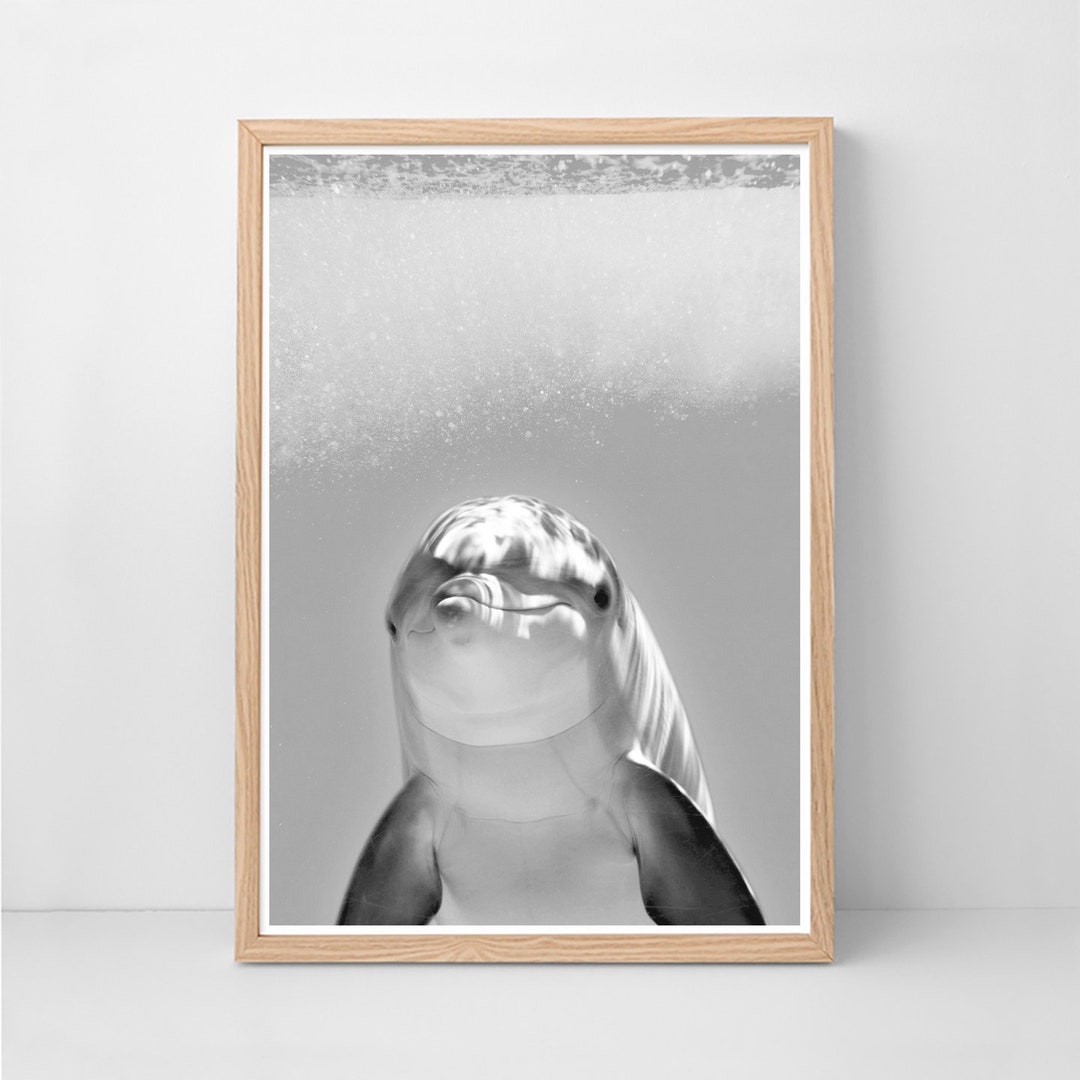 Dolphin Print, Nursery Kids Room Wall Art, Sea Ocean Fish Wall Art ...