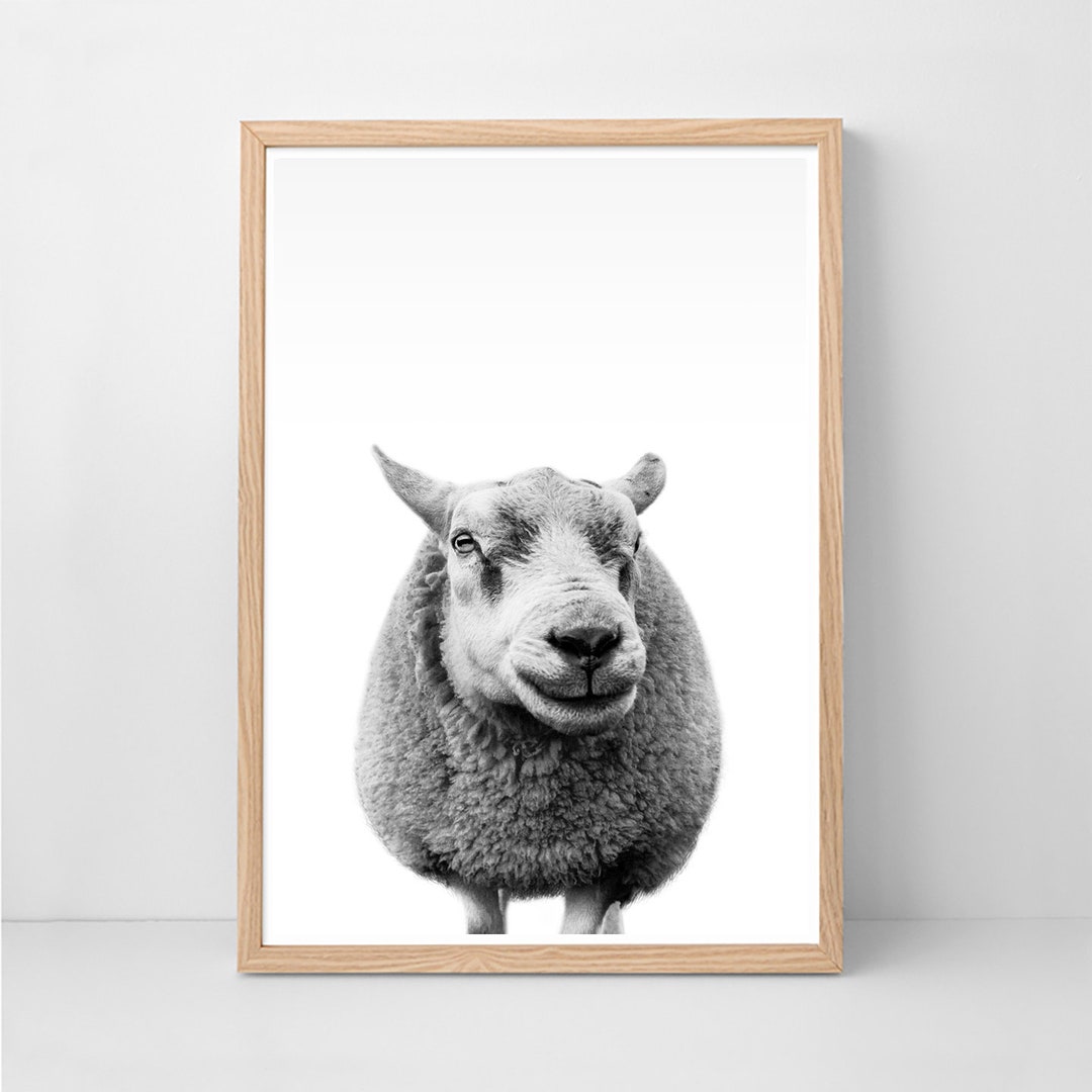 Sheep Print, Farm Decor, Sheep Wall Photo, Printable Farm Art, Peekaboo ...