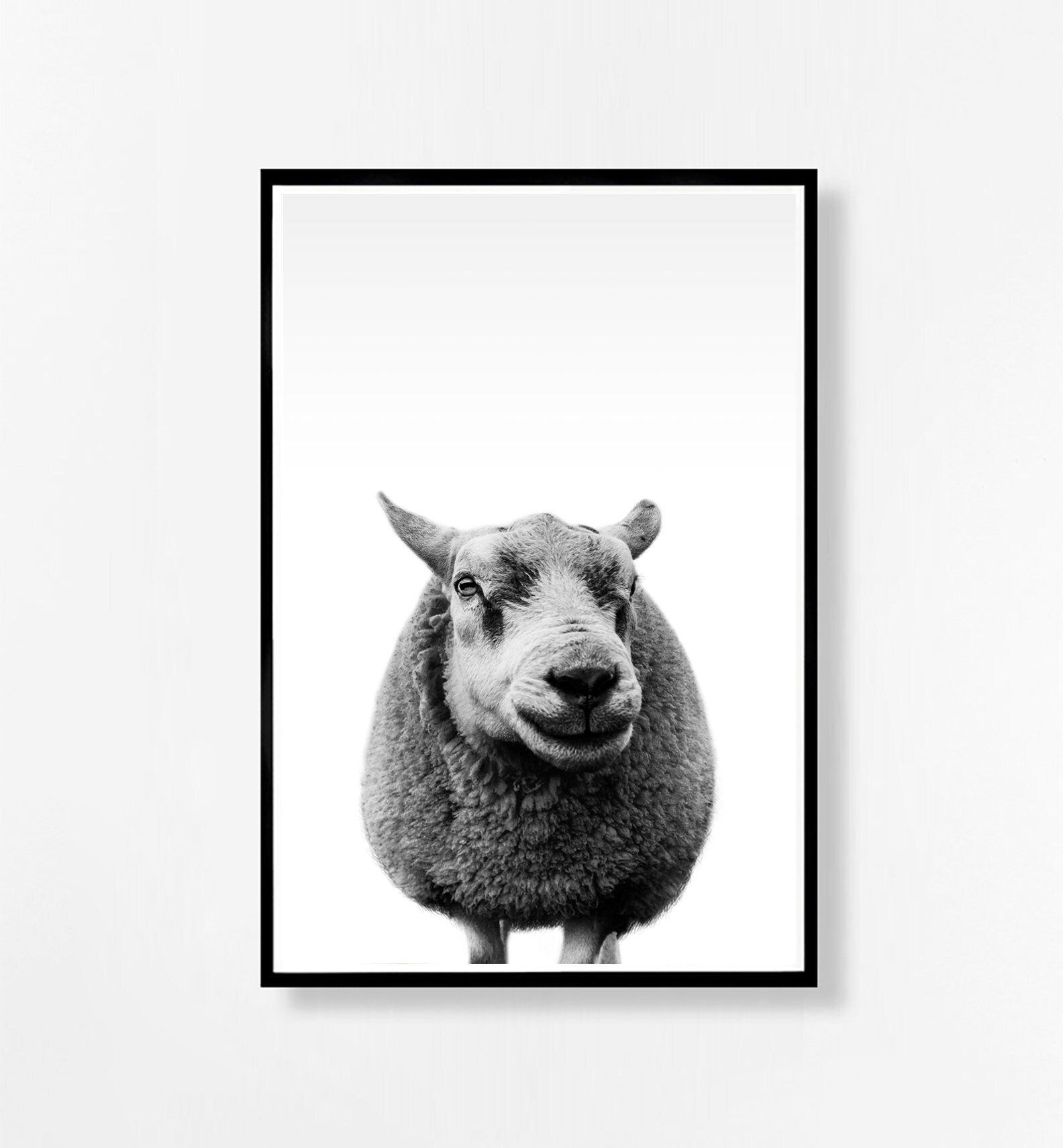 Sheep Print, Farm Decor, Sheep Wall Photo, Printable Farm Art, Peekaboo ...