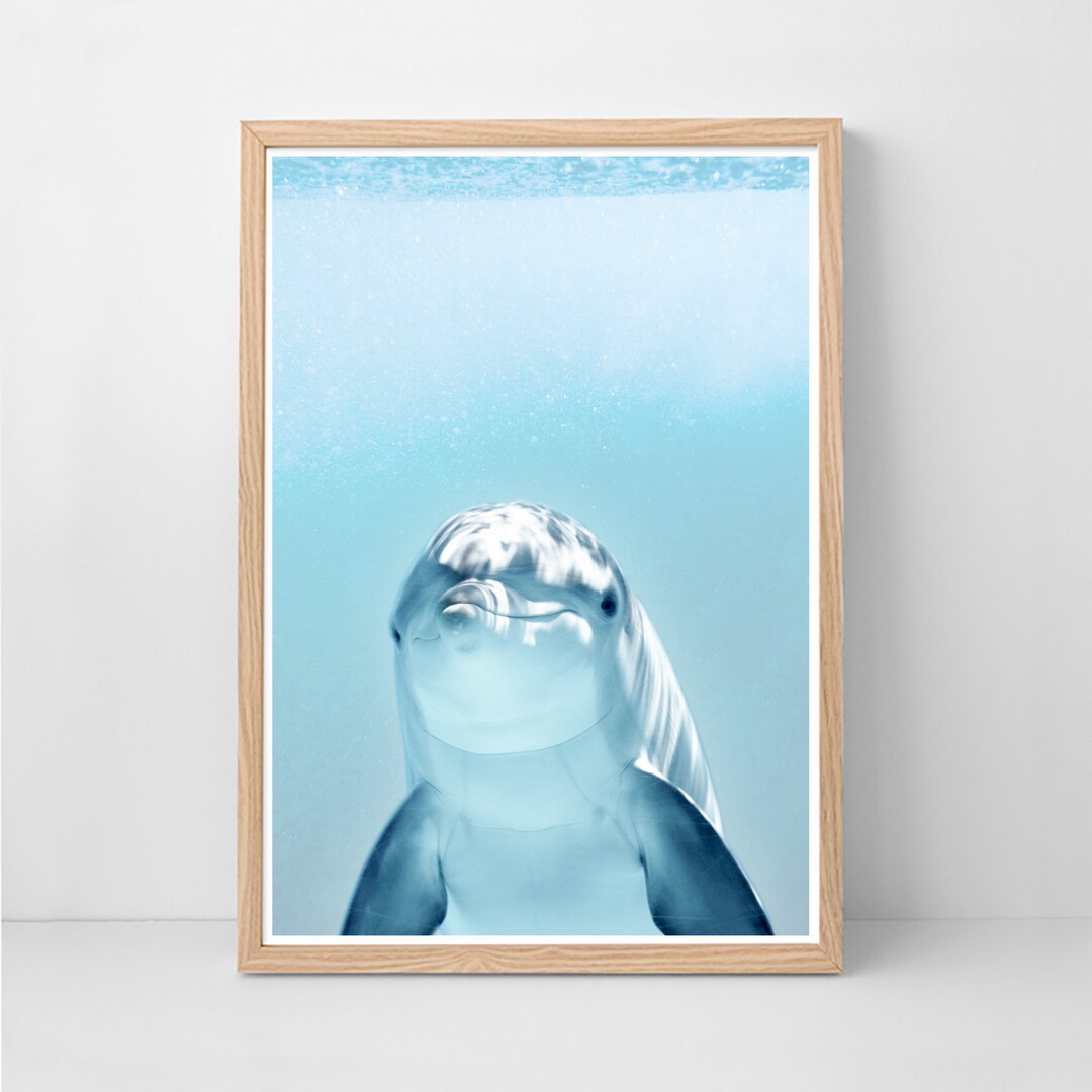 Dolphin Print, Nursery Kids Room Wall Art, Sea Ocean Fish Wall Art ...