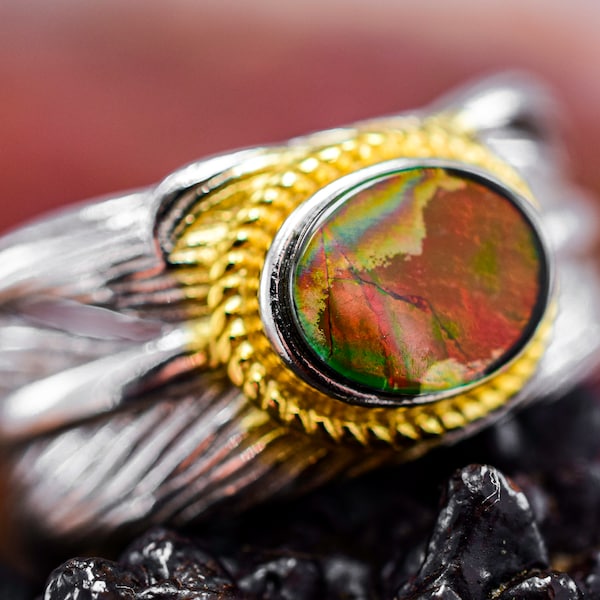 Ammolite - Etsy