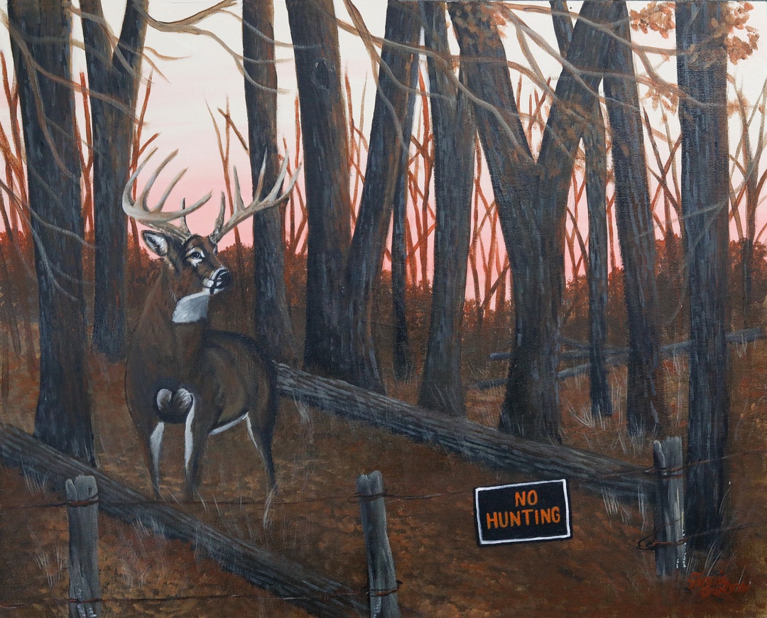 Wildlife Print, Deer, "safety Zone" by Terrie Owens - Etsy
