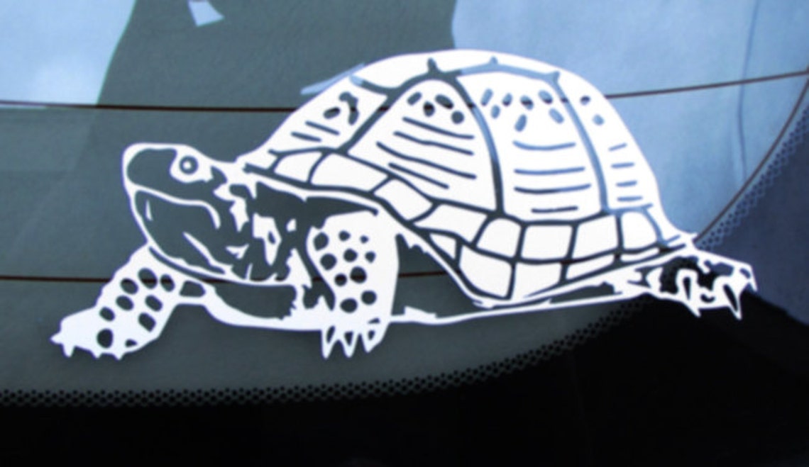 Box Turtle Vinyl Decal / Window MacBook Laptop Sticker - Etsy