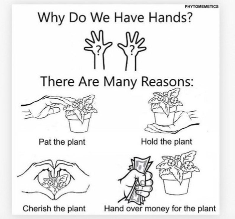 Hand Pot Hand Planters Pot Handmade Pots Flower Planter - Etsy