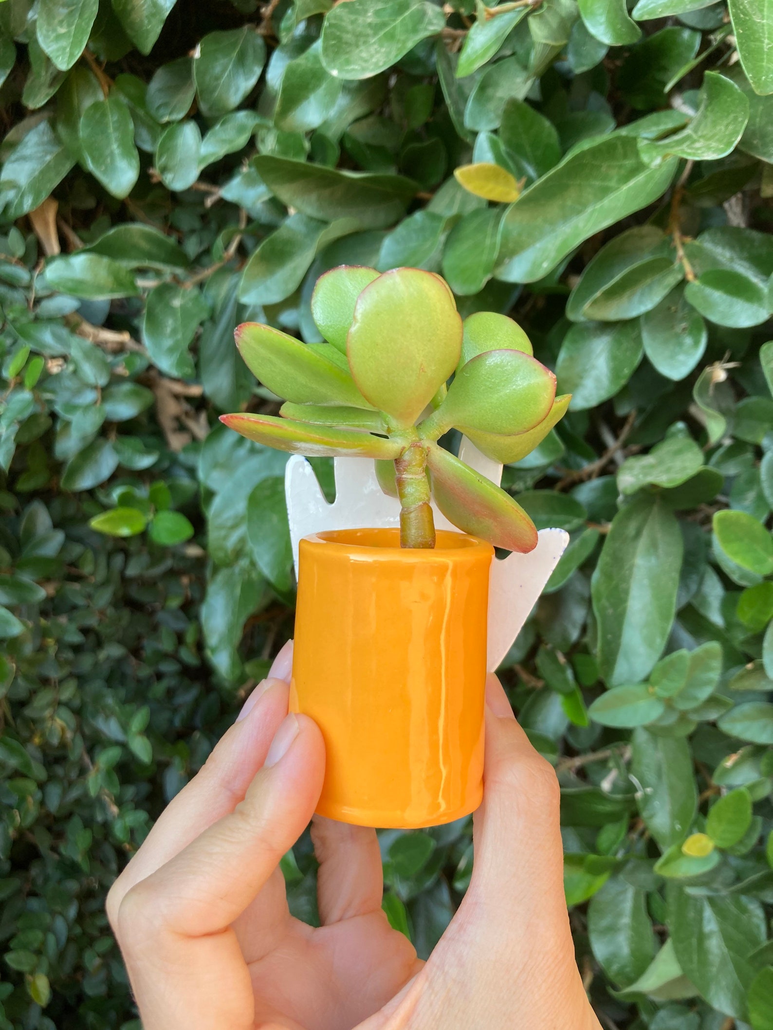 Hand Pot Hand Planters Pot Handmade Pots Flower Planter - Etsy