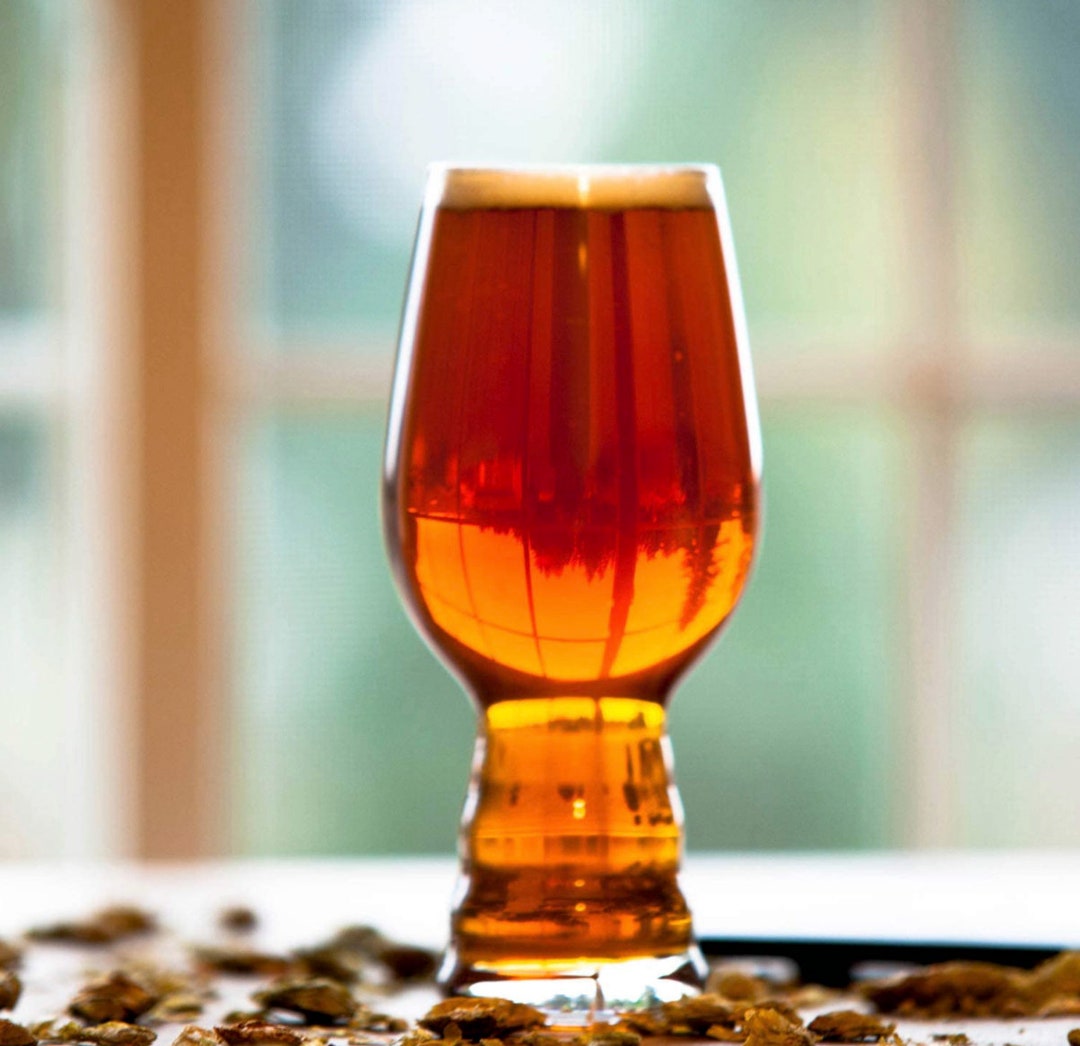 IPA Beer Glass | Custom Glassware for IPA Beers | Holds up to 19.1 Oz | Ideal Gift for Craft ...