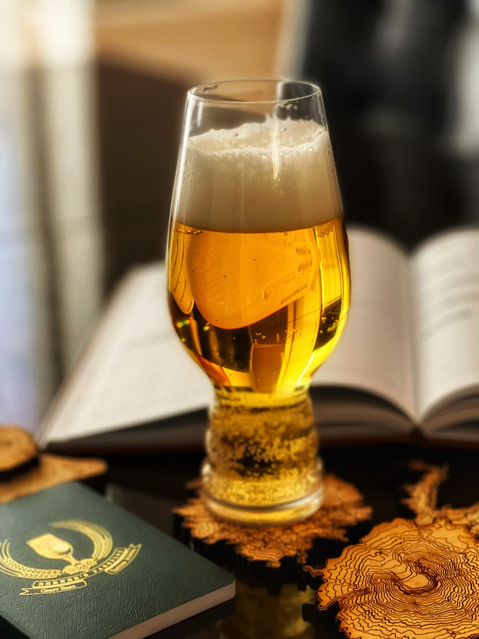 IPA Beer Glass Custom Glassware for IPA Beers Holds up to - Etsy