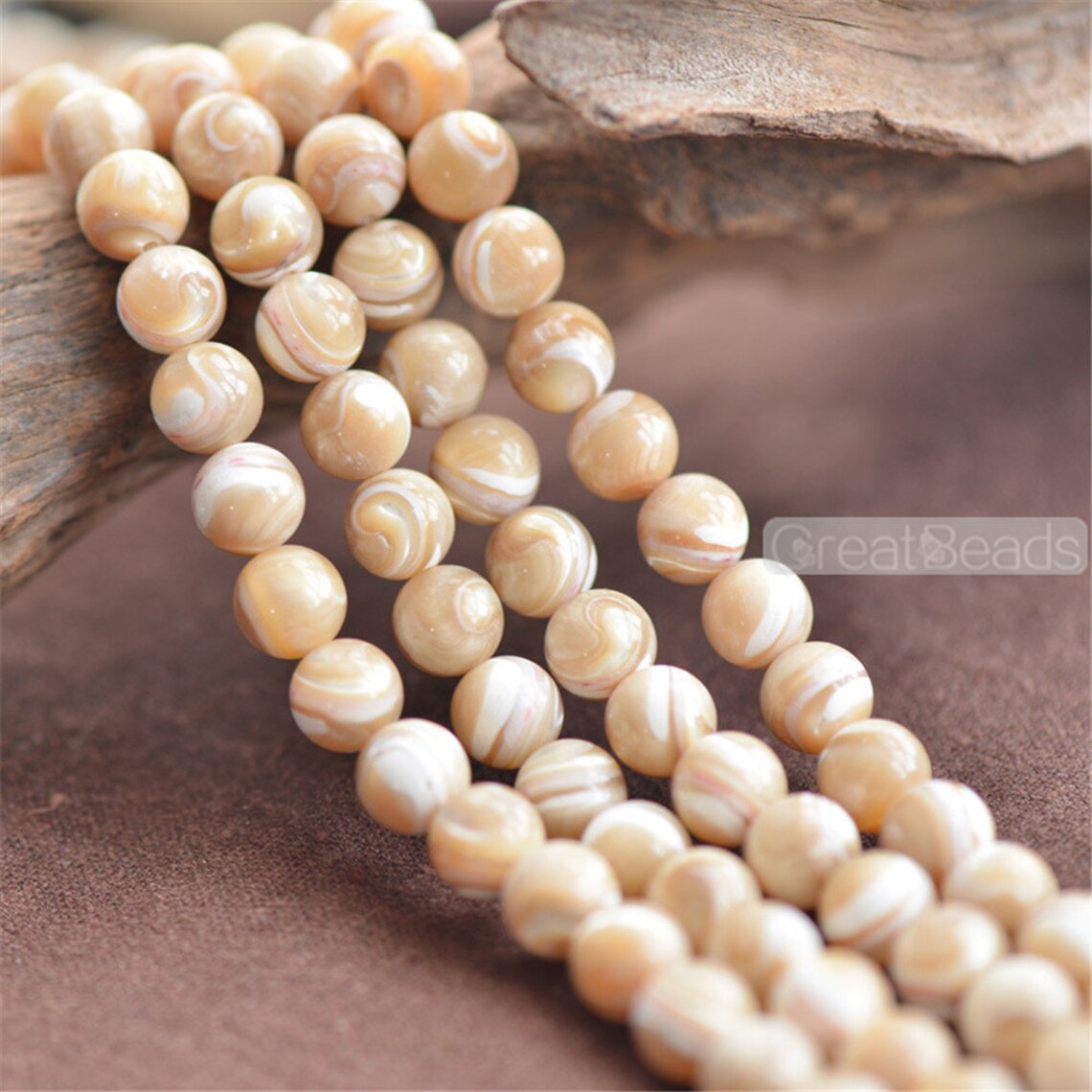 Grade AAA Natural Beige Shell Beads 4mm-12mm Smooth Polished - Etsy