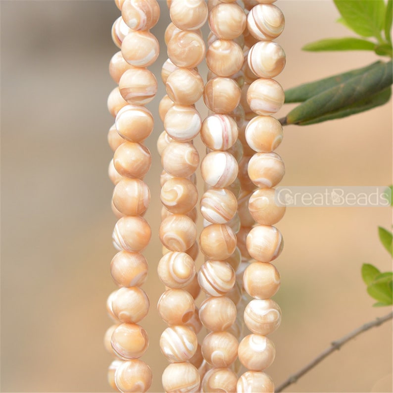 Grade AAA Natural Beige Shell Beads 4mm-12mm Smooth Polished - Etsy