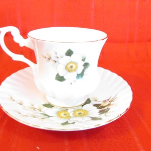 Royal Dover Fine Bone China , Daisy Design Made in China cs630 - Etsy