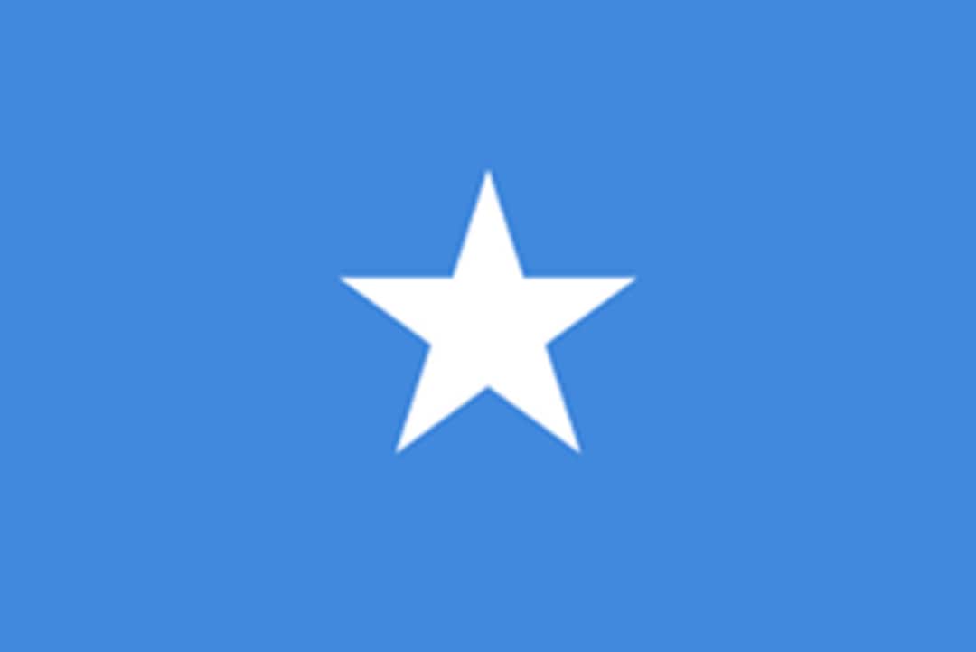 Somalia Flag Sticker Self Adhesive Vinyl - Etsy