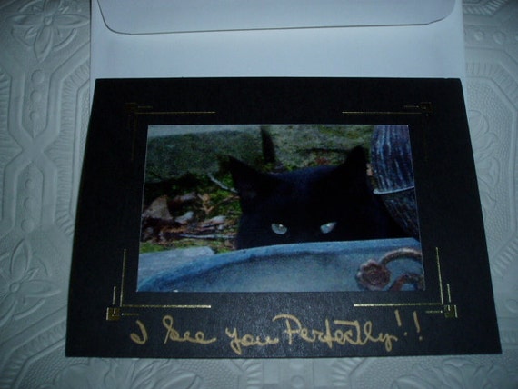 Black Cat Kates Photo Quips Note Card Kate Perrin | Etsy