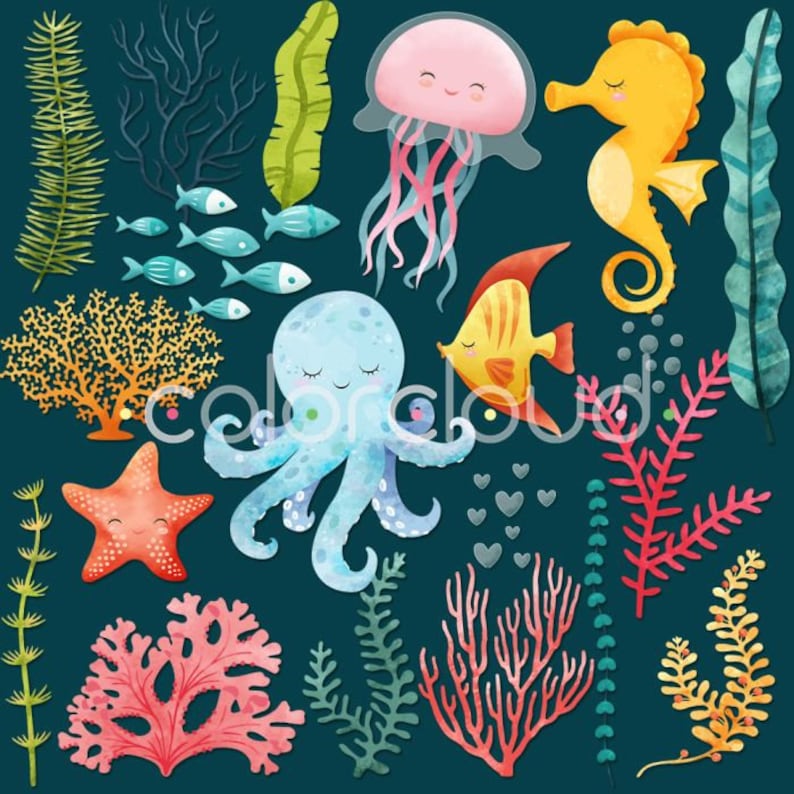 Ocean Life Clip Art: Sea Animals & Plants (PNG, Digital Download) - Etsy