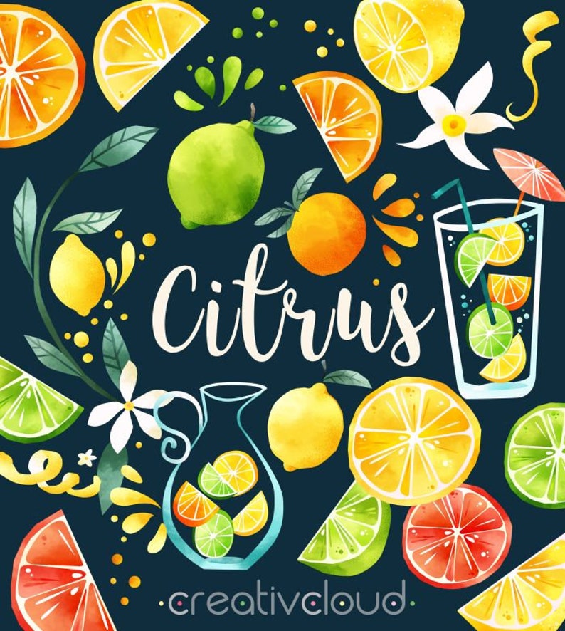 Watercolor Citrus Clipart: Lemon, Lime, Orange Fruit Slices (PNG ...