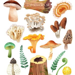 Watercolor Mushroom Clipart: Fungi Illustration (PNG Instant Download ...