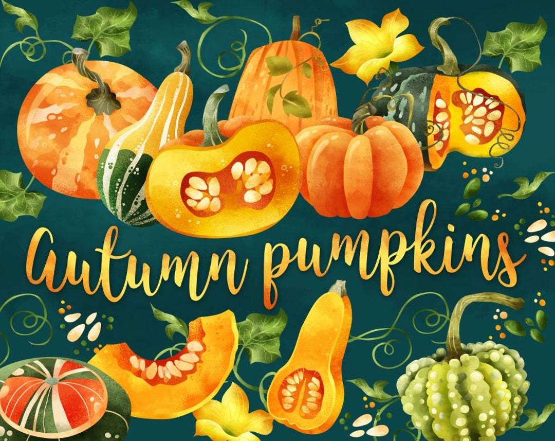 Pumpkin Clipart Autumn Pumpkin Illustrations Squash Gourd - Etsy