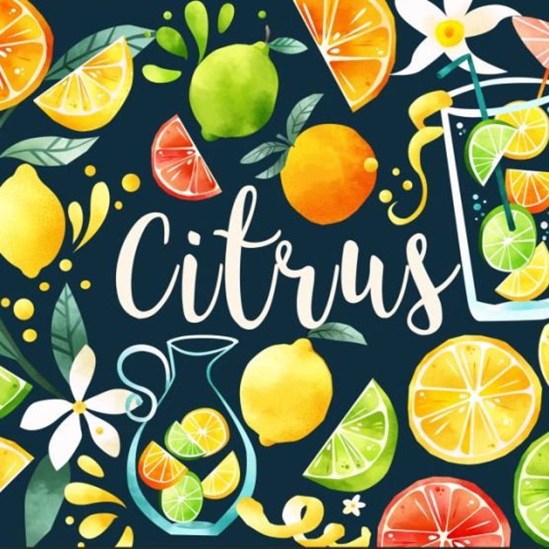 Lemon Lime Clipart - Etsy