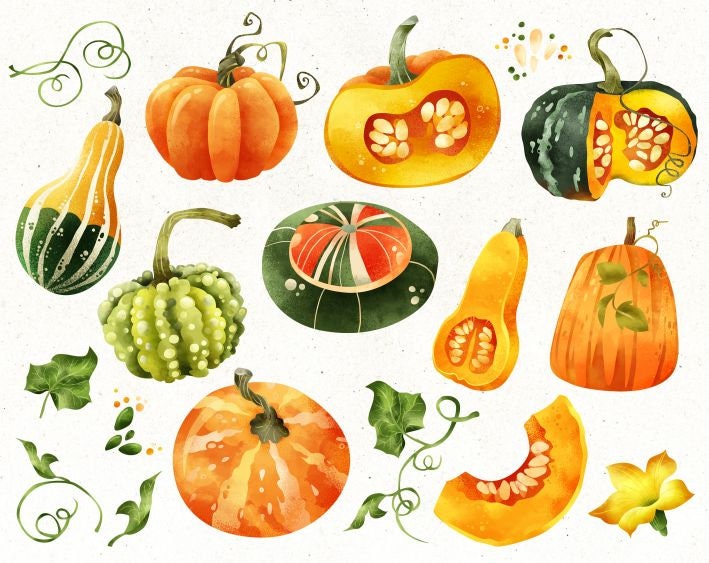 Pumpkin Clipart Autumn Pumpkin Illustrations Squash Gourd - Etsy