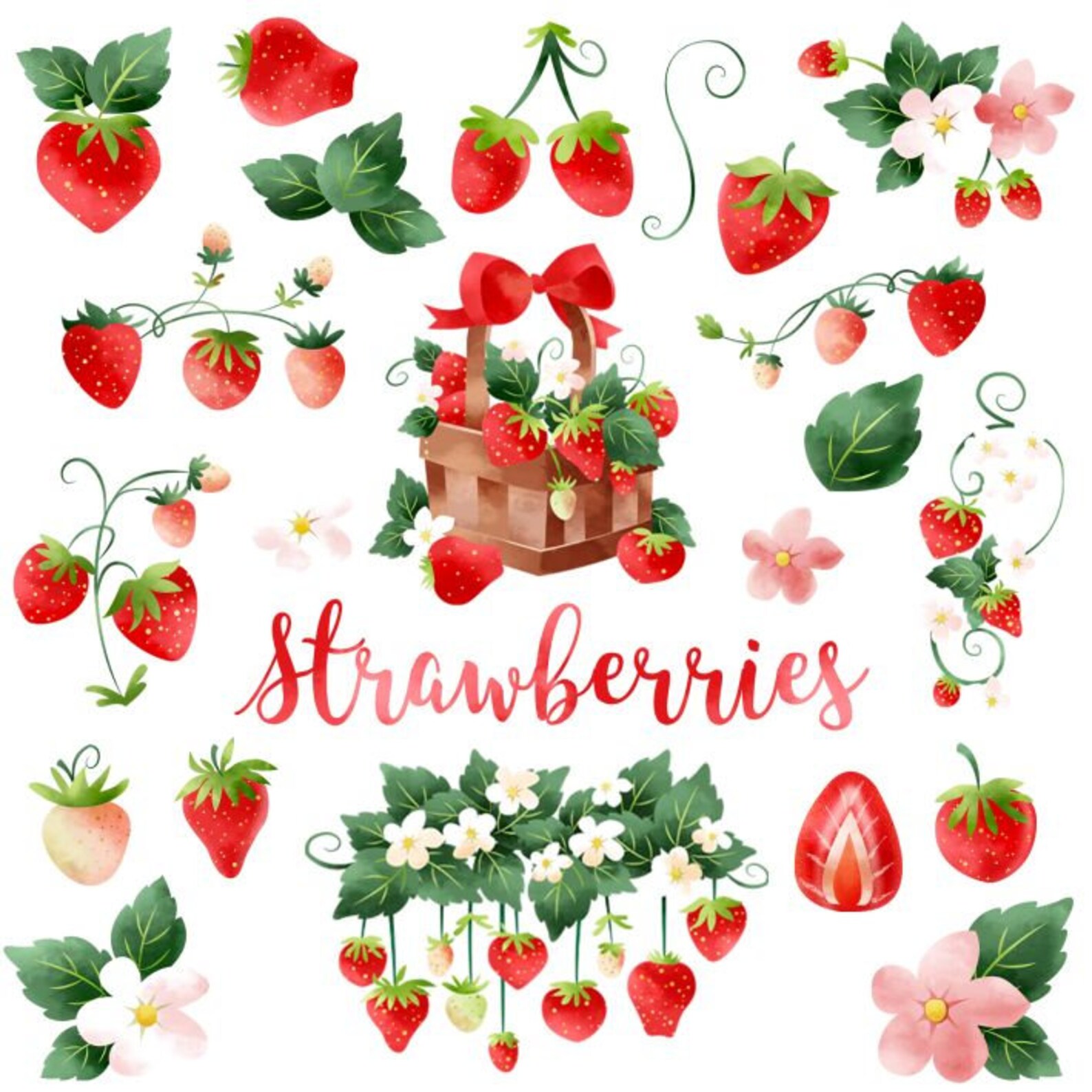 Strawberry Clipart Illustration Strawberries Summer - Etsy