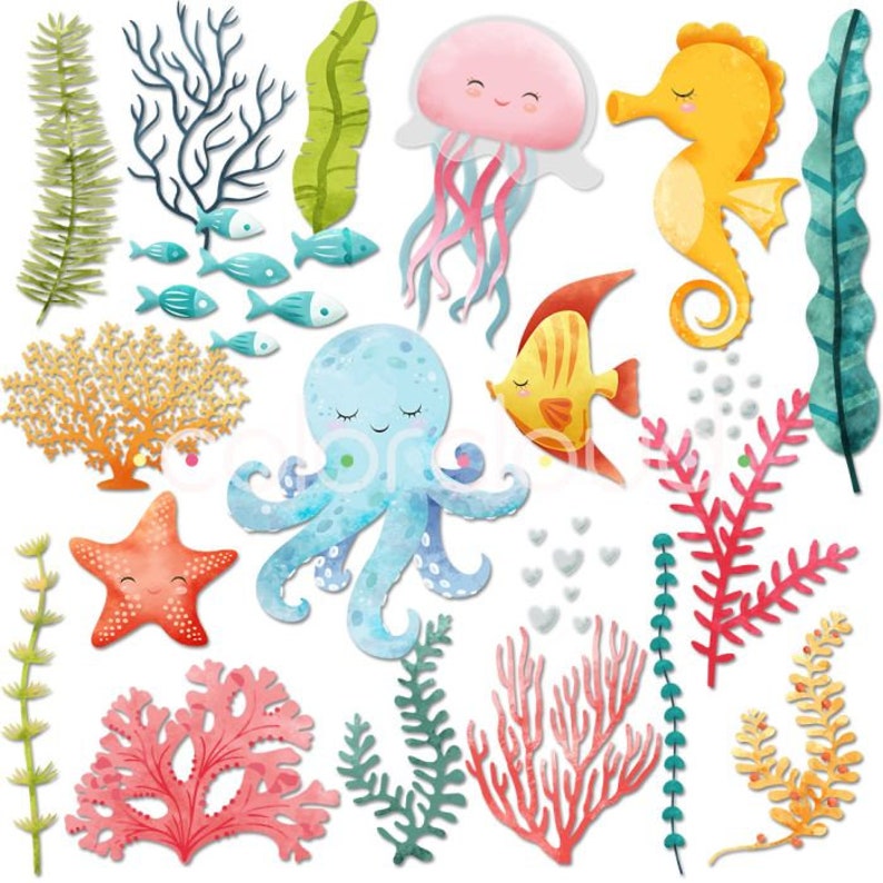 Ocean Life Clip Art: Sea Animals & Plants (PNG, Digital Download) - Etsy