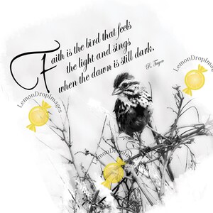Faith is the Bird That Feels the Light and Sings When the Dawn is Still ...