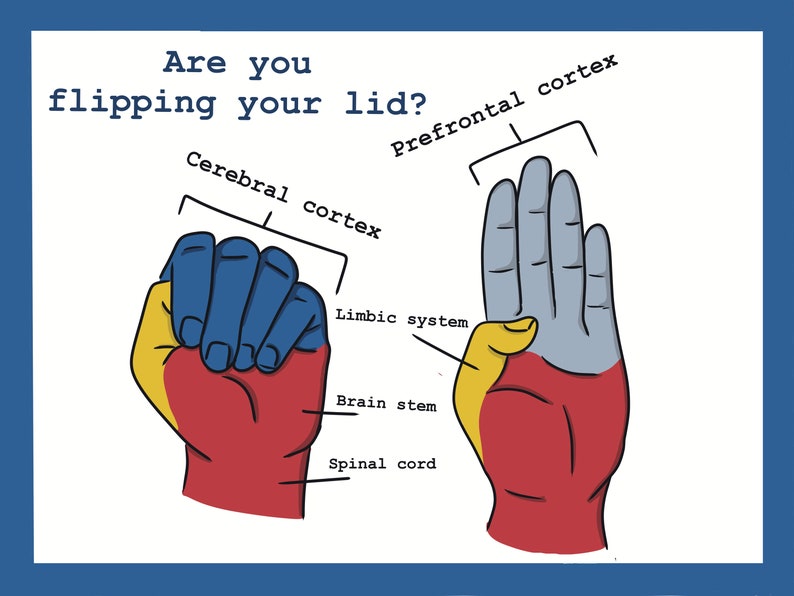 Socio-emotional Resources for Kids | Mental Health Tools, Lizard Brain ...