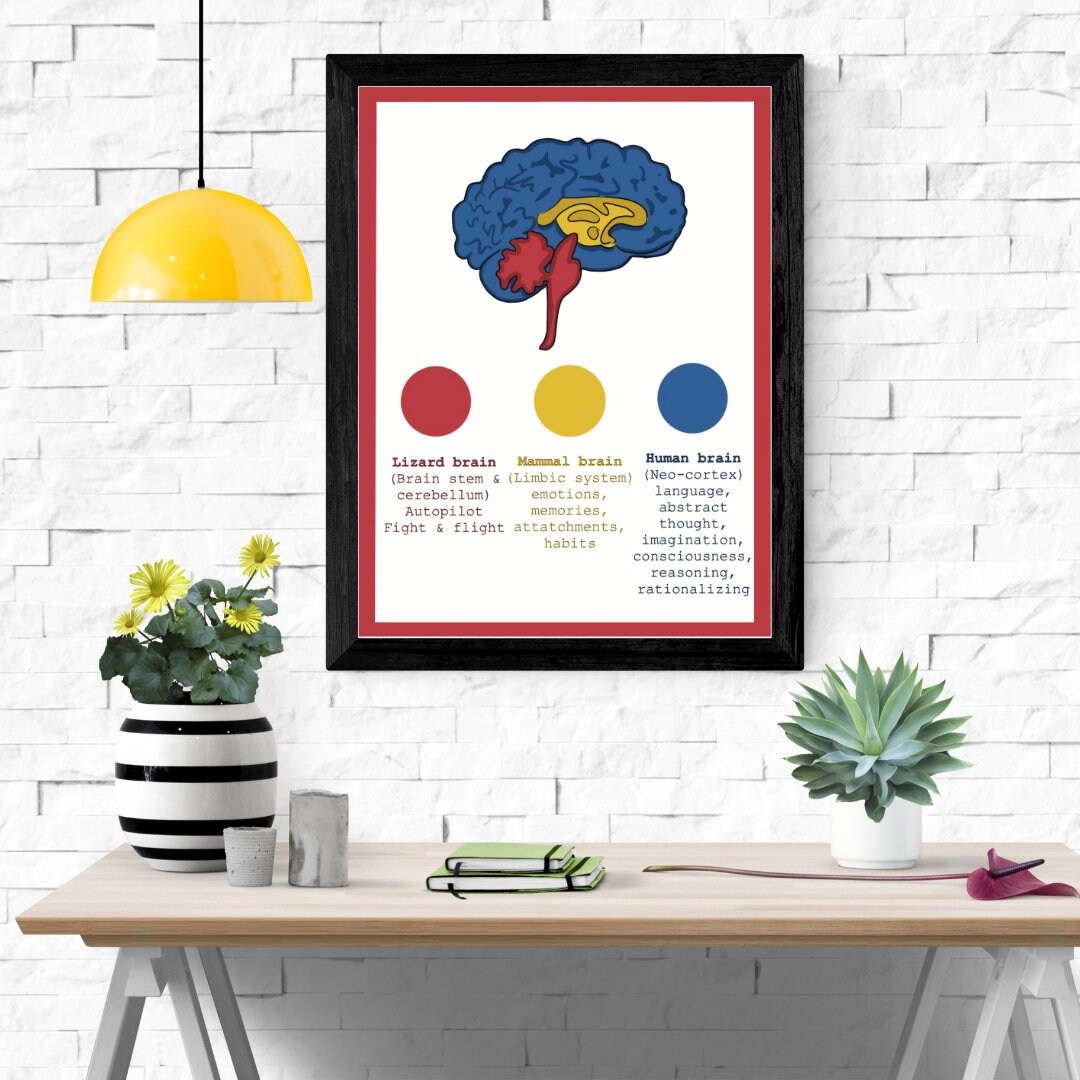 Socio-emotional Resources for Kids | Mental Health Tools, Lizard Brain ...