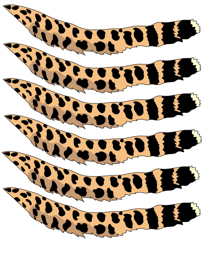 Cheetah - Pin the Tail on the Cheetah Birthday Game INSTANT DOWNLOAD ...
