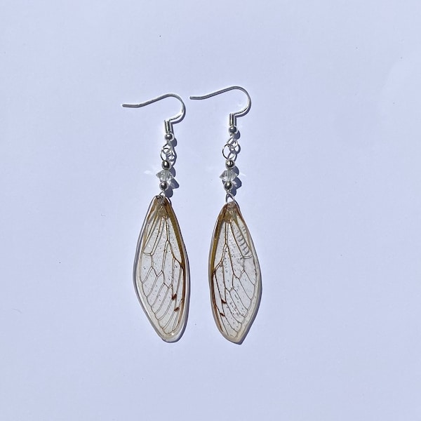 Insect Bug Wing - Etsy