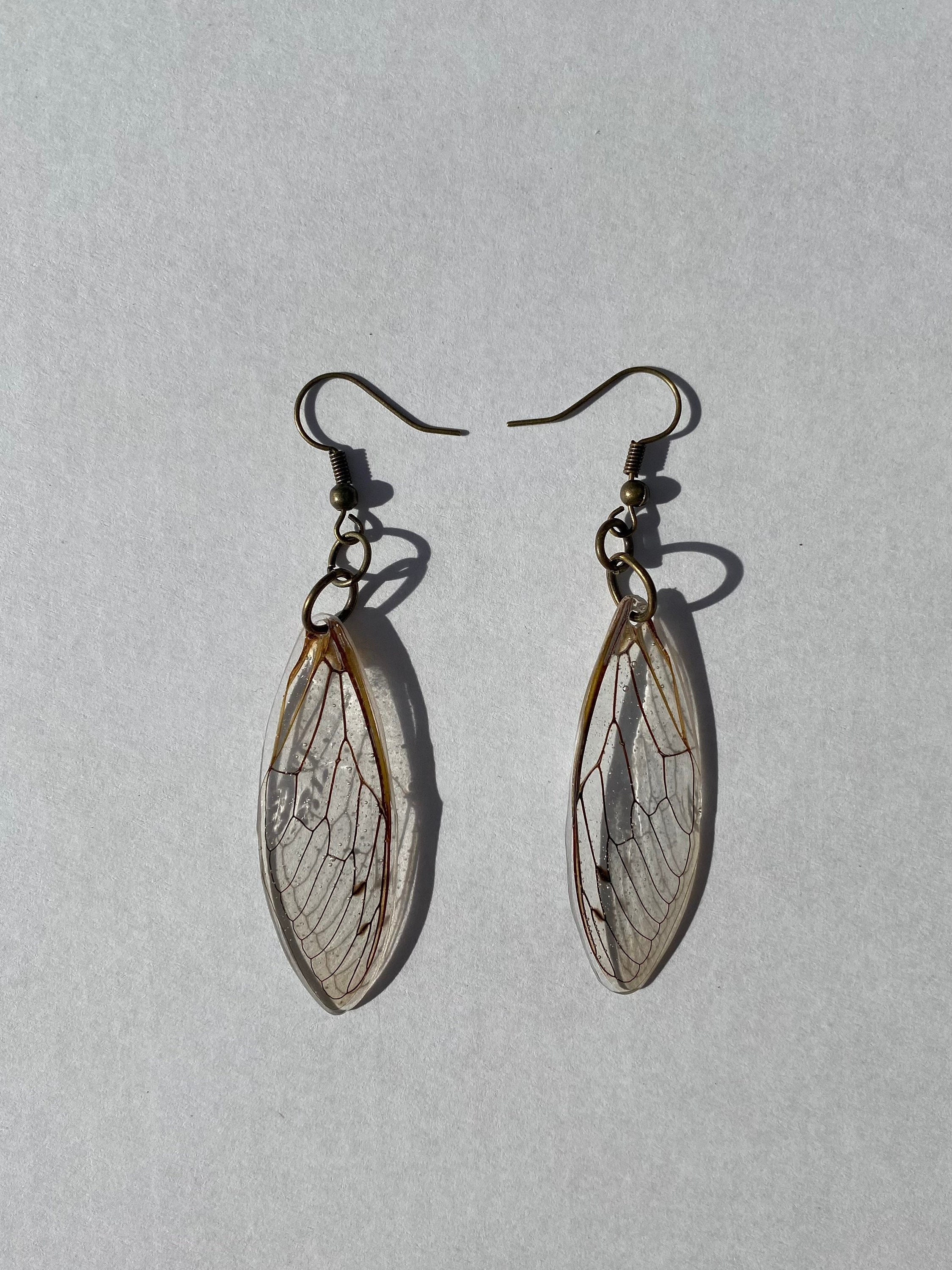 Cicada Wing Earrings Resin Embedded Insect Wing Jewelry - Etsy