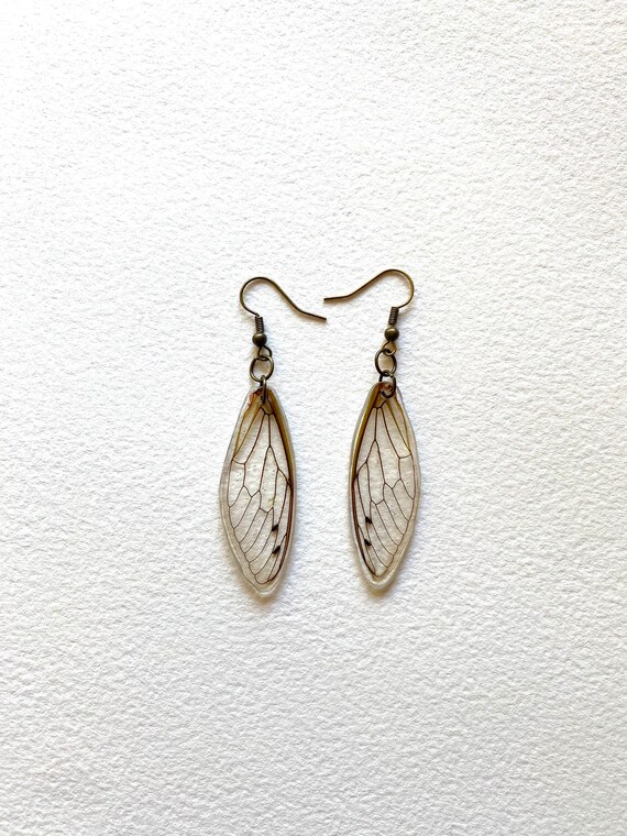 Cicada wing earrings resin embedded insect wing jewelry | Etsy