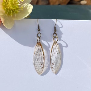 Cicada Wing Earrings Resin Embedded Insect Wing Jewelry - Etsy