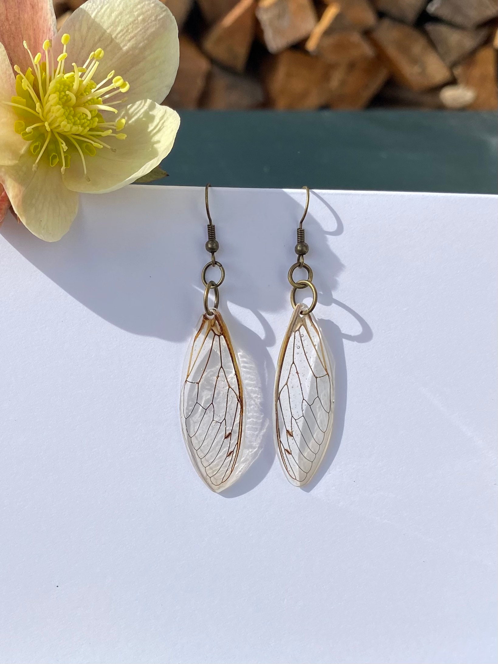 Cicada Wing Earrings Resin Embedded Insect Wing Jewelry - Etsy