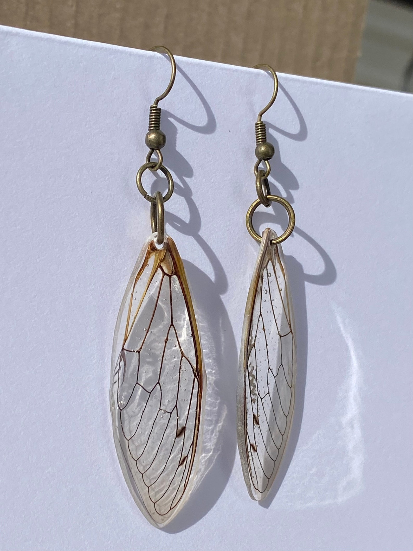 Cicada Wing Earrings Resin Embedded Insect Wing Jewelry - Etsy