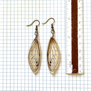 Resin Cicada Wing Earrings, Transparent Bug Jewelry, Fairy Core Style ...