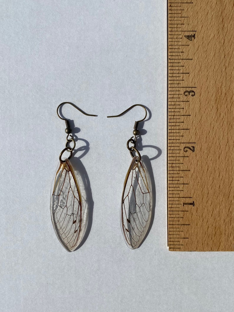 Cicada Wing Earrings Resin Embedded Insect Wing Jewelry - Etsy