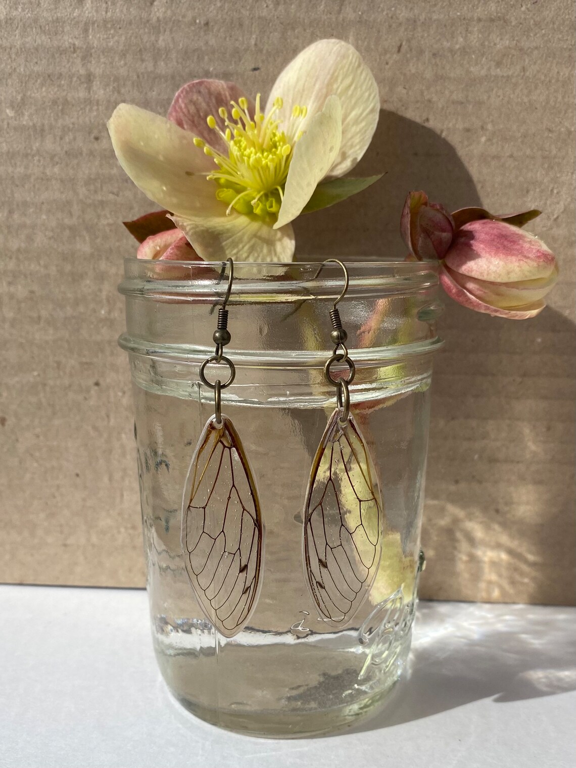 Cicada Wing Earrings Resin Embedded Insect Wing Jewelry - Etsy