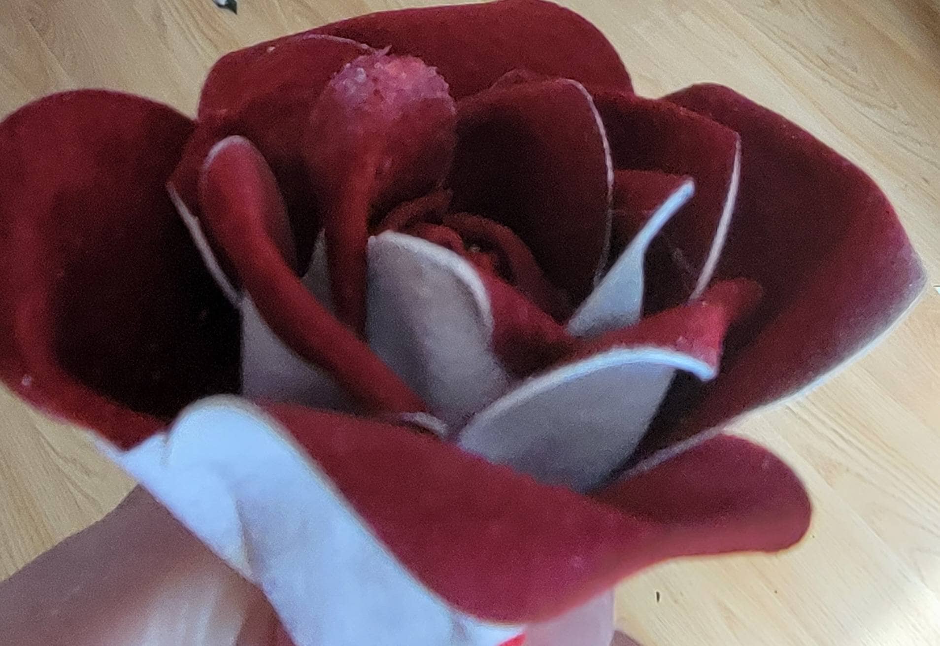 Fire and Ice Roses, Red and White Roses, 3rd Anniversary Gift, Osiria ...