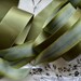 Avocado Green Swiss Satin Ribbon - Etsy