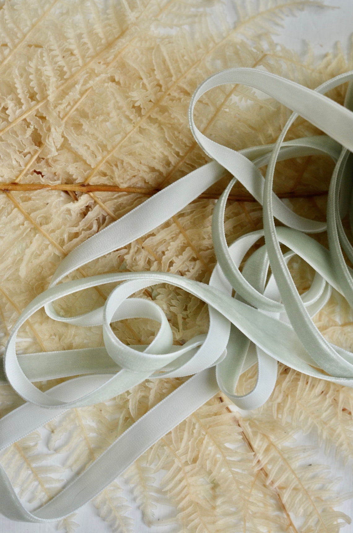 Celadon Green 3/8 Velvet | Etsy