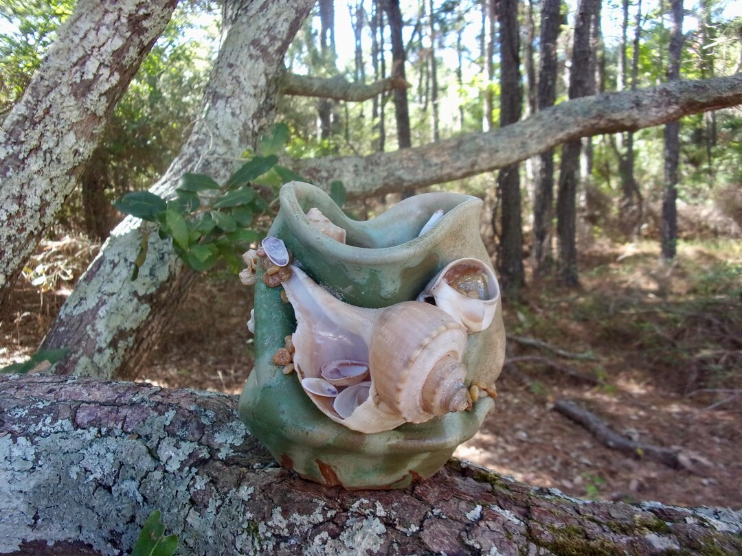 Real Obx Shells, Whelk Fragments and Ocean Pebbles Fill the Crevices ...