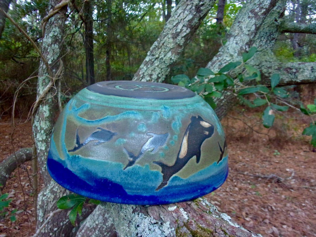 Dolphins and Orcas Swim Together Around the Outside of This Large ...