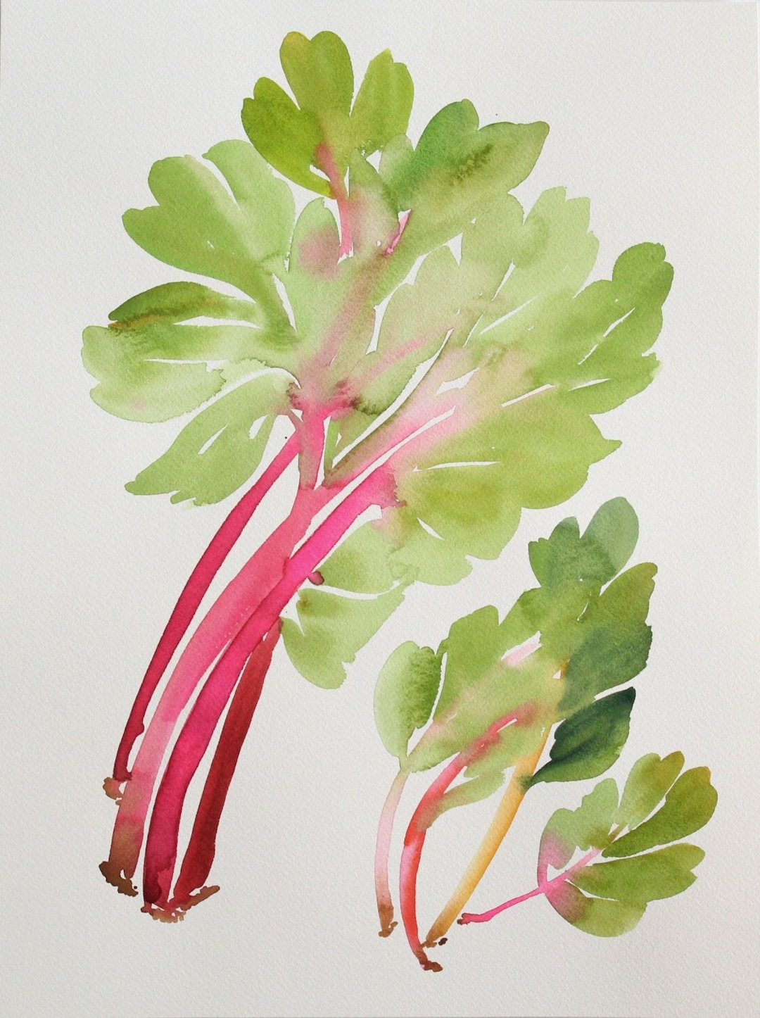 12" X 16" Swiss Chard Study - Original Painting - Etsy