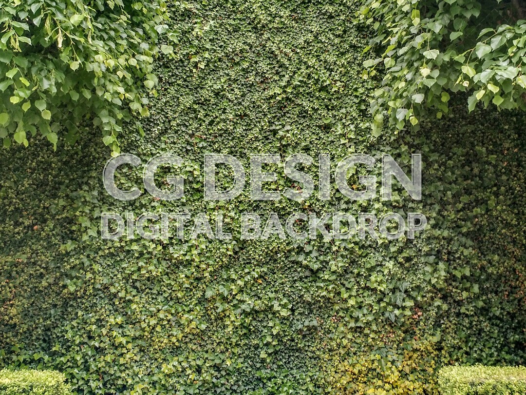 Paris Greenery Wall, Digital Backdrop Photographer Composites, Digital ...