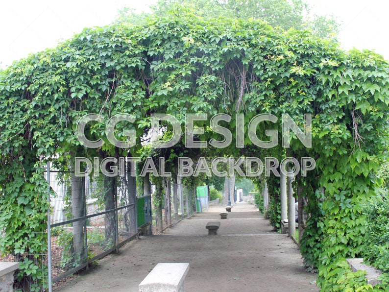 Paris Greenery Arch Walkway Path, Digital Backdrop Photographer ...