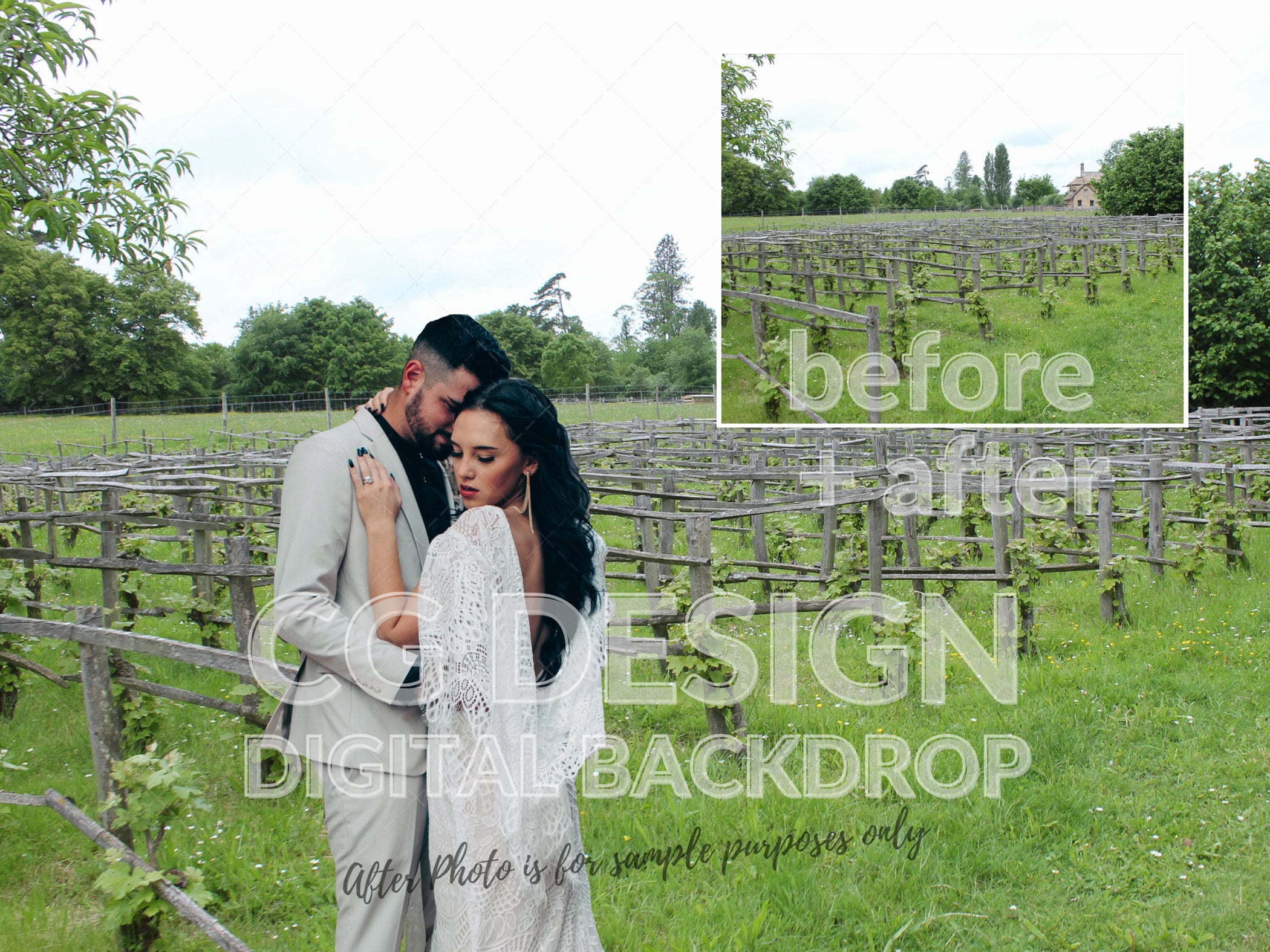 Versailles the Queen's Hamlet Vineyard, Digital Backdrop Photographer ...