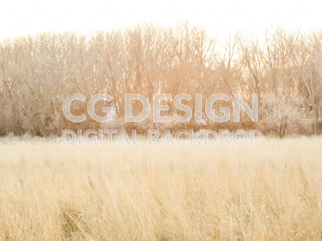 Fall Field, Autumn, Digital Backdrop Photographer Composites, Digital ...
